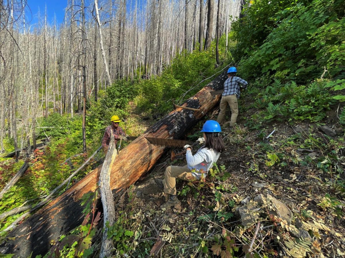 Nesmith Point and Wyeth Trails Re-Open – Ready Set GOrge